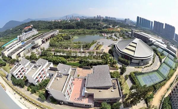 Fujian's Putian Base behind China's First Gold at Paris Olympics_Latest ...